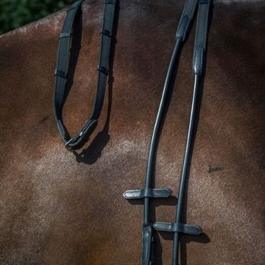 Her finder du et stort udvalg af tøjler til alle discipliner indenfor ...