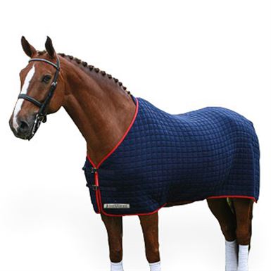 Thermatex MP Q. Wicking Rug